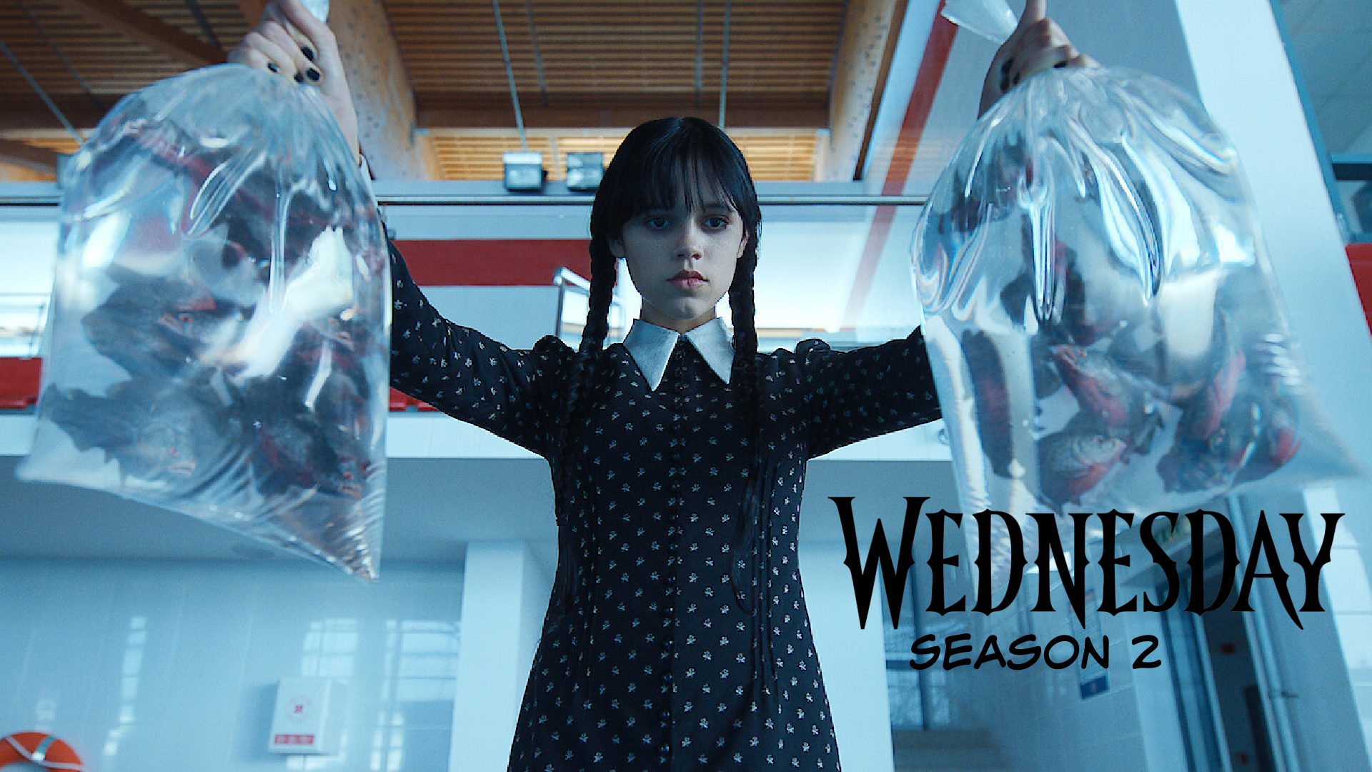 Wednesday Season 2 Finally Announced – What the Heck is going on?!?